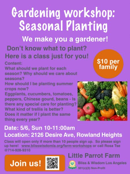Seasonal Planting / Gardening 101 – Bliss and Wisdom Los Angeles